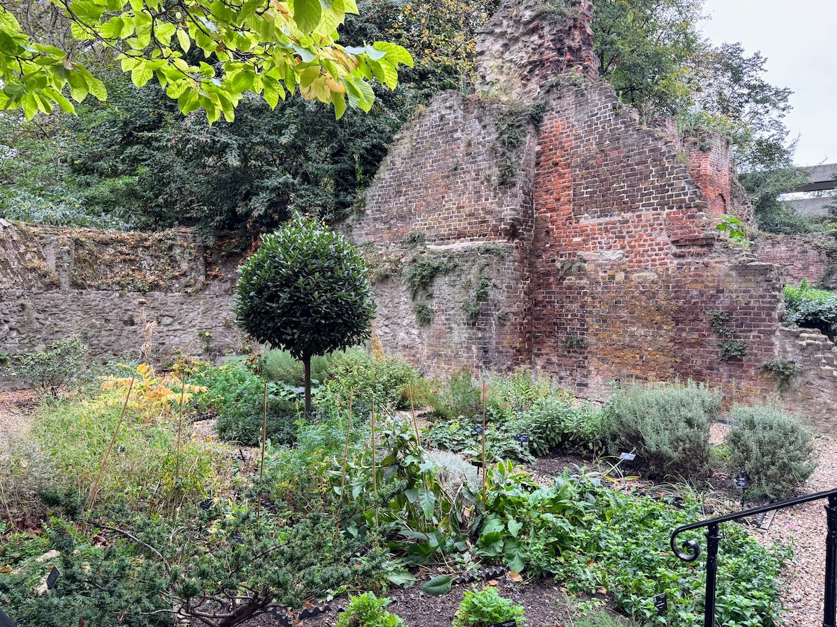 Six Historic Havens For Wildlife In The City - Living London History